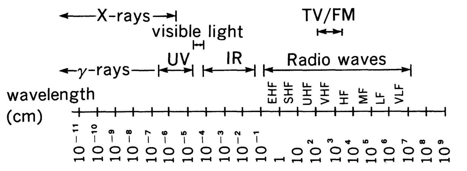 Pyroelectric Infrared Sensor | 日本セラミック株式会社 [Nippon Ceramic Co., Ltd]