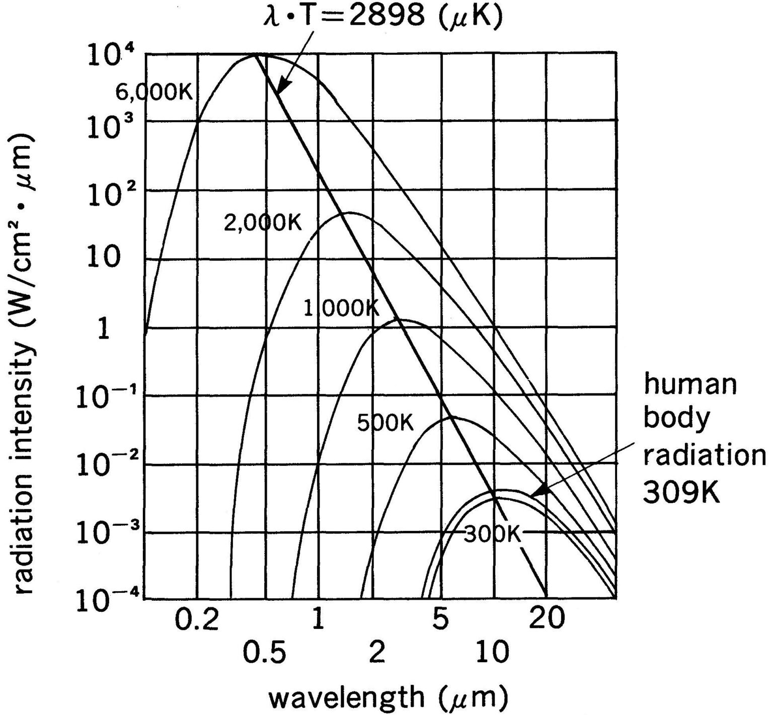 Pyroelectric Infrared Sensor | 日本セラミック株式会社 [Nippon Ceramic Co., Ltd]
